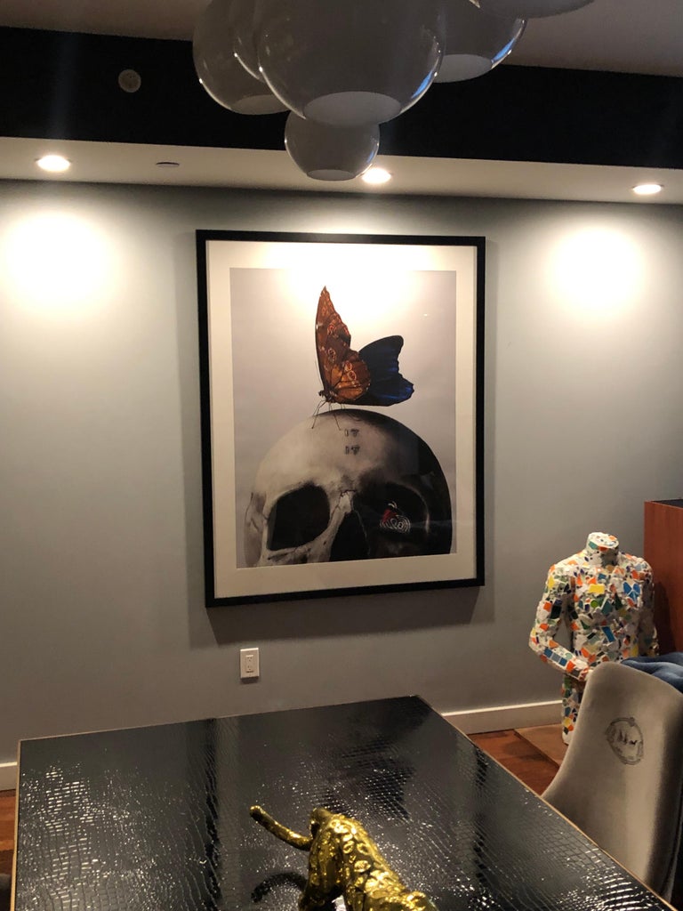 Mario Kroes - "Skull and Butterfly" Original Fine Art Print Edition of ...
