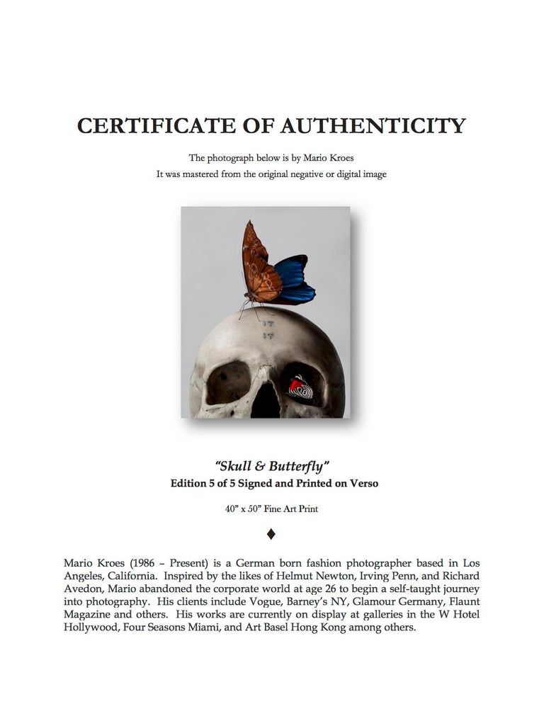 Mario Kroes - "Skull and Butterfly" Original Fine Art Print Edition of ...