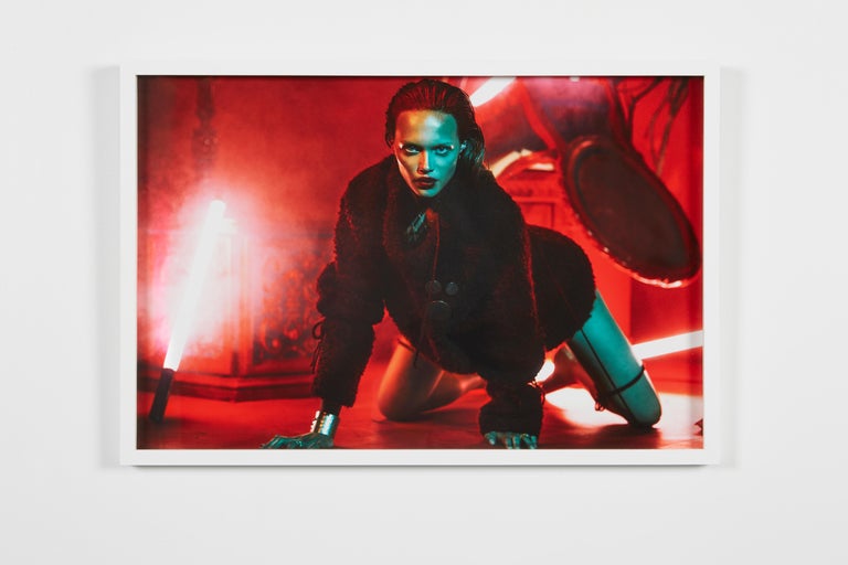 Brian Ziff - “Of Crimson Joy” Photography 20" x 30" inch Edition of 1/5 ...