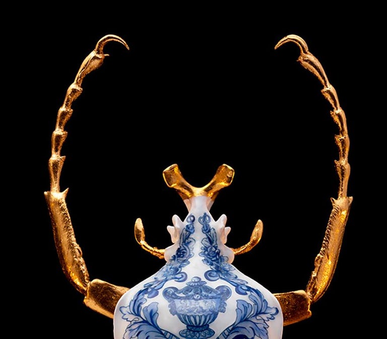Samuel Dejong - Goliath Beetle Open - 21st Century, Contemporary, Figurative, Print, Insect For ...