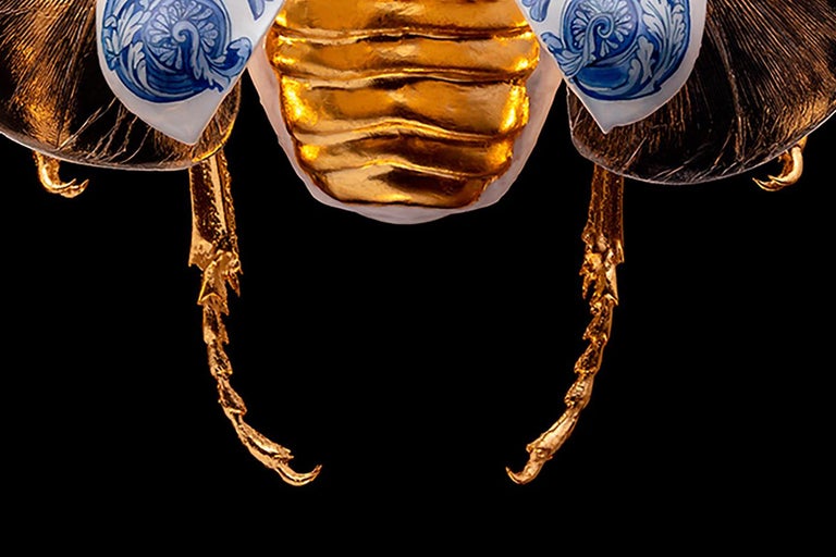 Samuel Dejong - Goliath Beetle Open - 21st Century, Contemporary, Figurative, Print, Insect For ...