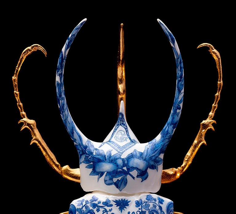 Samuel Dejong - Atlas Beetle Closed - 21st Century, Contemporary, Figurative, Print, Insect For ...