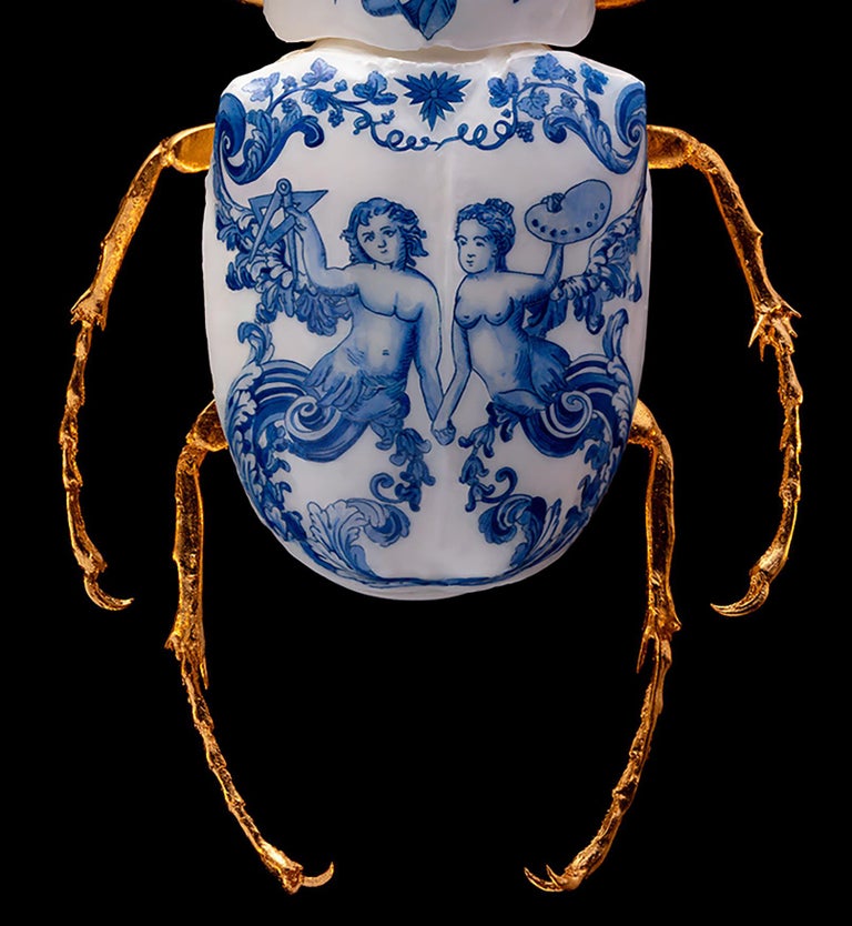 Samuel Dejong - Atlas Beetle Closed - 21st Century, Contemporary, Figurative, Print, Insect For ...