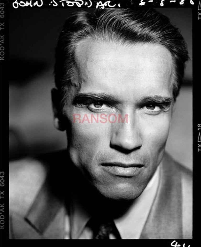 John Stoddart - Arnold Schwarzenegger For Sale at 1stDibs