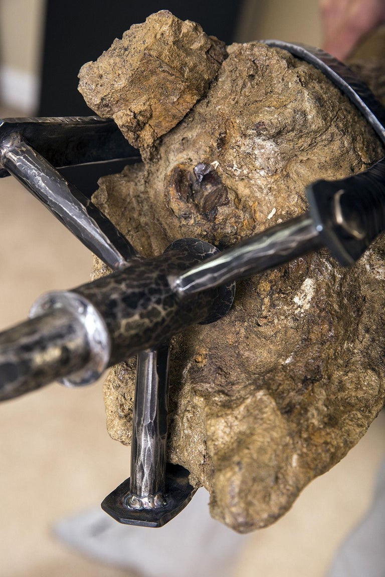 Triceratops - Complete Triceratops Brow Horn Hell Creek Formation ...