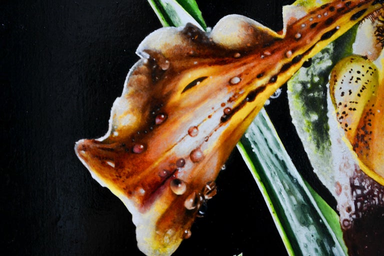 Joran van der Haar - "Paphiopedilum" Joran van der Haar, 21st Century Contemporary Oil Painting ...