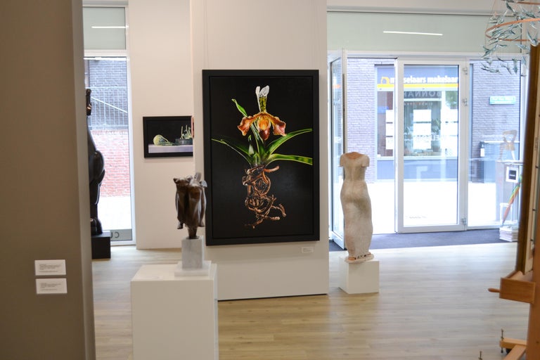 Joran van der Haar - "Paphiopedilum" Joran van der Haar, 21st Century Contemporary Oil Painting ...