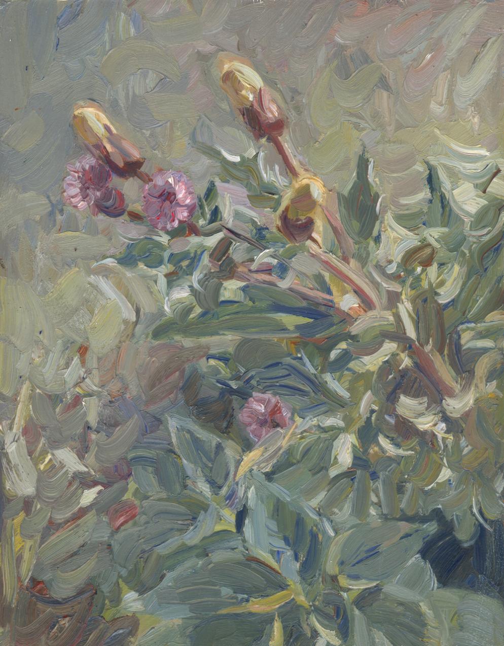 Hans Versfelt - Wind shields on the beach- 21st Century DutchSeascape ...