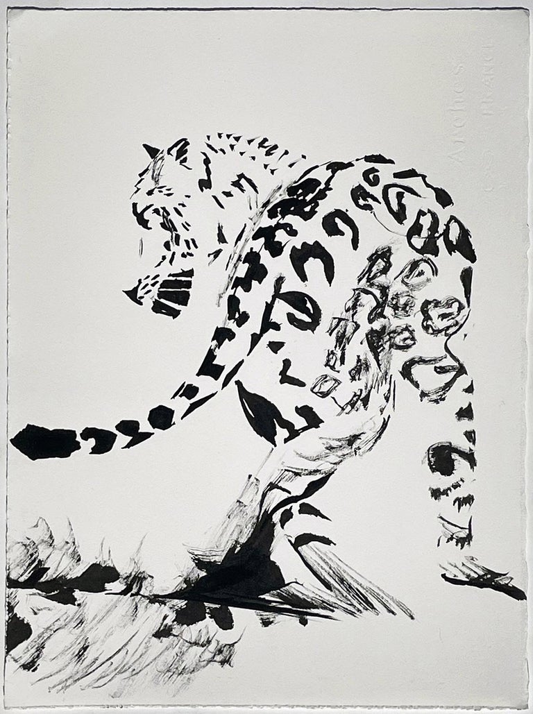Matt Kinney - Jungle (Jaguar) For Sale at 1stDibs