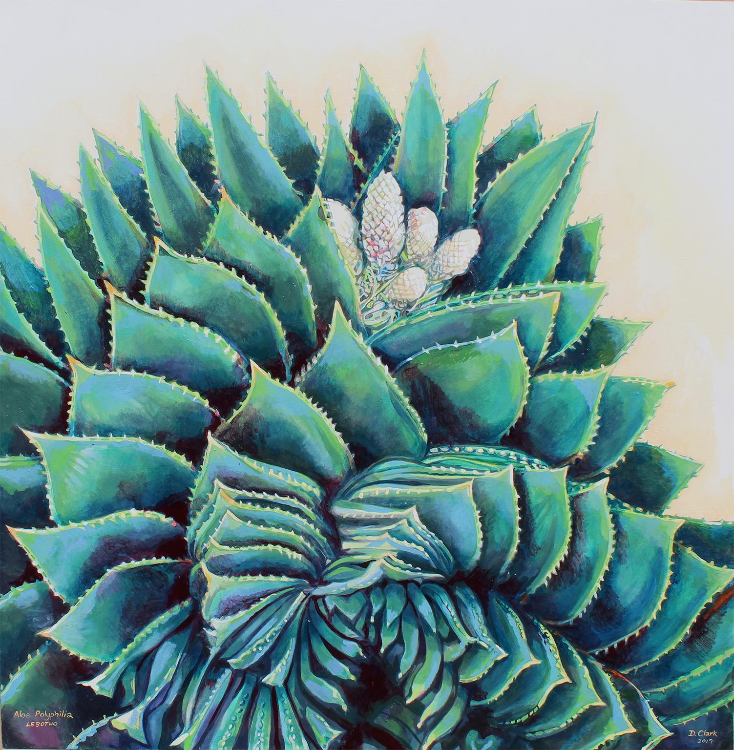 Dorothy Clark - Aloe Polyphilia, Lesotho 1 - Contemporary, Oil on ...