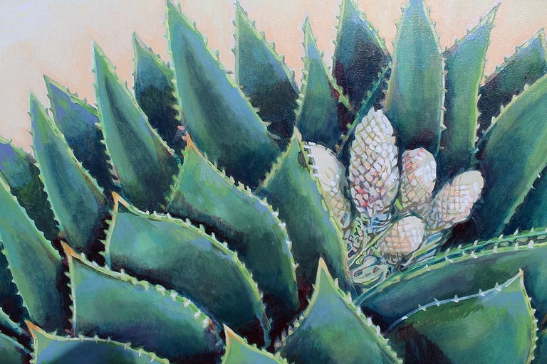 Dorothy Clark - Aloe Polyphilia, Lesotho 1 - Contemporary, Oil on ...