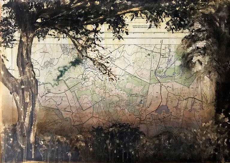 Sue Martin - Bushveld I- Contemporary painting, Mixed media and Oil on ...