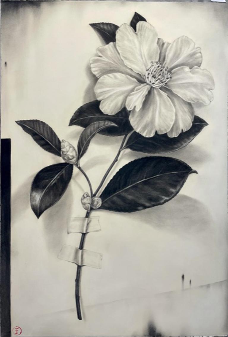 Emily Farish - Camellia at 1stDibs