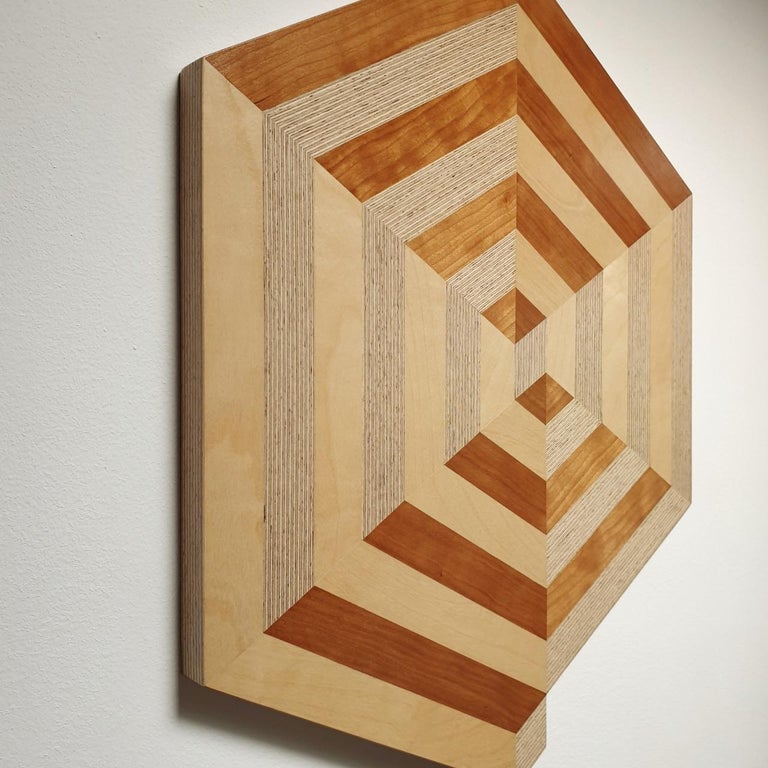 Hanneke Rijks - Spiral - contemporary modern abstract geometric wood ...