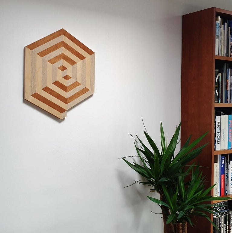 Hanneke Rijks - Spiral - contemporary modern abstract geometric wood ...