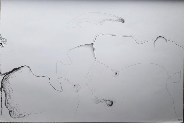 Chroessi Schnell - Chroessi Schnell - "Surreal Maps" - surrealist ...