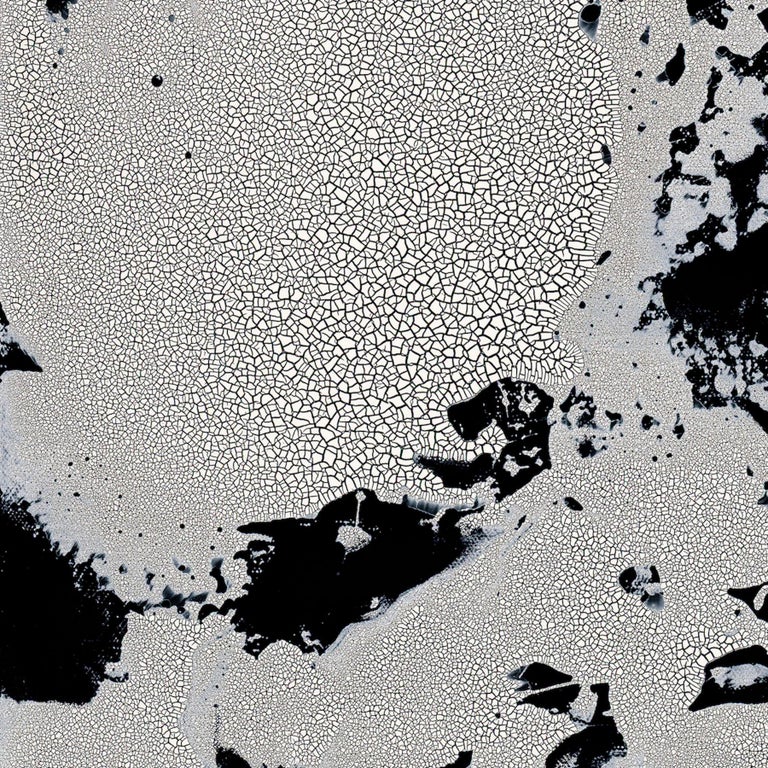 Diane Burko - Elegy for Quelccaya Glacier, Peru, limited edition art ...