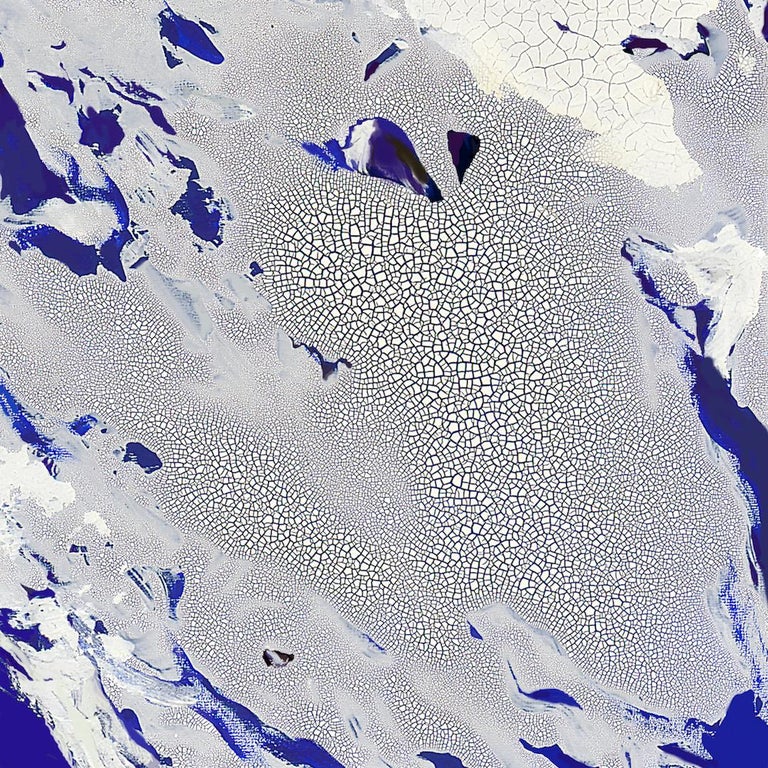 Diane Burko - Elegy for Meren Glacier, Indonesia, limited edition art ...