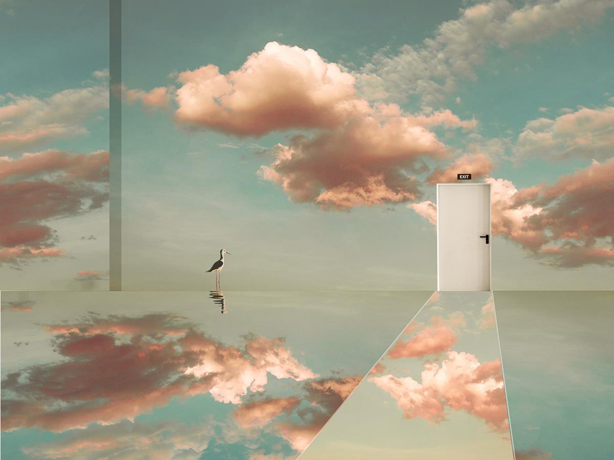 Lisa Creagh - E8.1 (Contemporary British Photography, Flora, Flowers ...