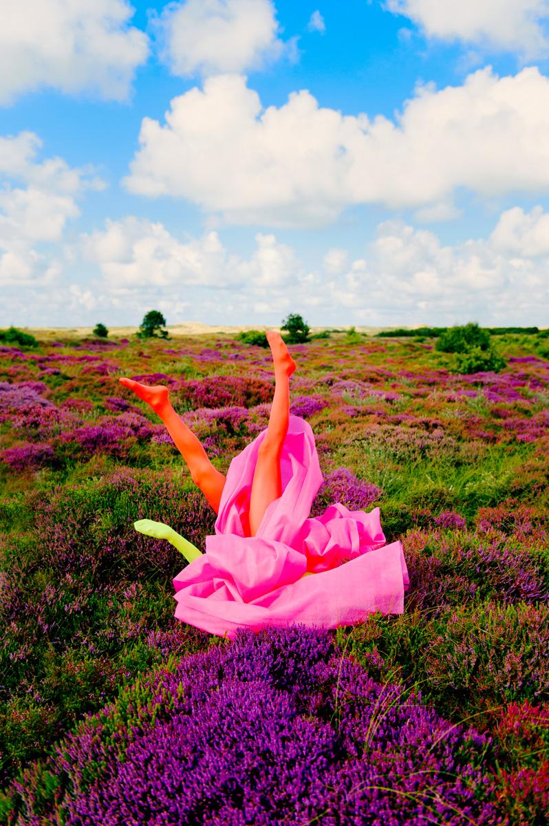 Sanja Marusic - Dancing with the Flowers 1 For Sale at 1stDibs