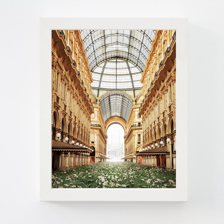 Timo Helgert - The Return of Nature Milan For Sale at 1stDibs