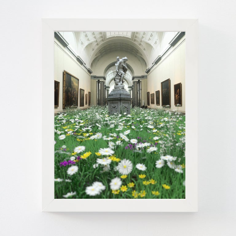 Timo Helgert - The Return of Nature Madrid For Sale at 1stDibs