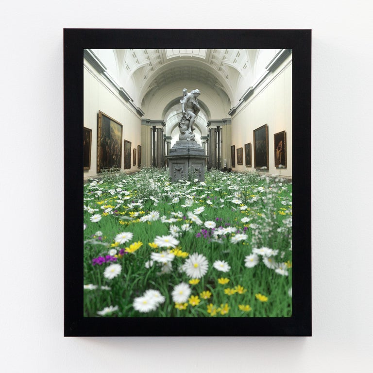 Timo Helgert - The Return of Nature Madrid For Sale at 1stDibs