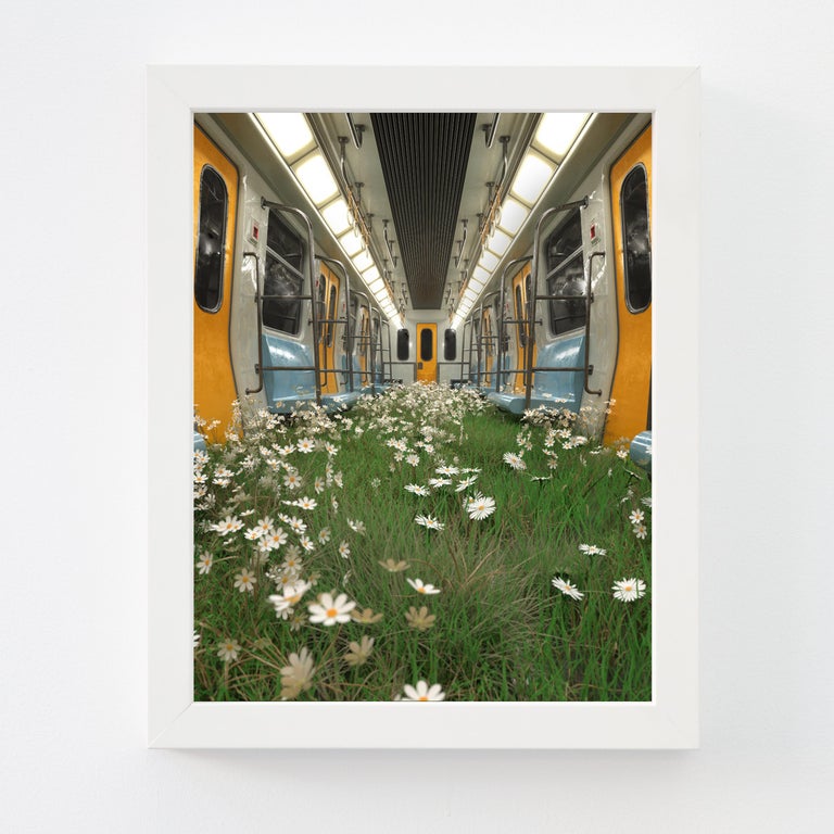 Timo Helgert - The Return of Nature Train For Sale at 1stDibs