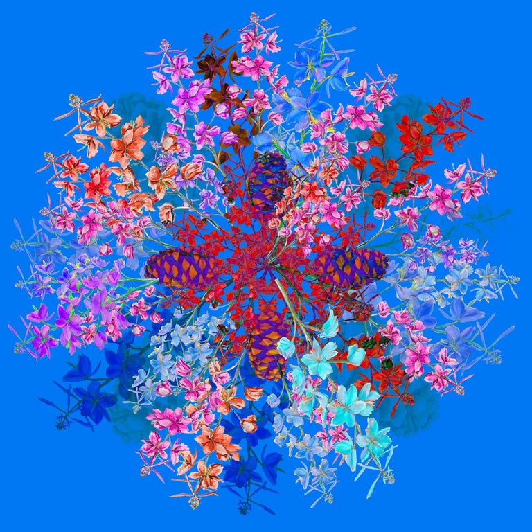 ET Projects: Elizabeth Turk - LOOK UP Fireweed For Sale at 1stDibs