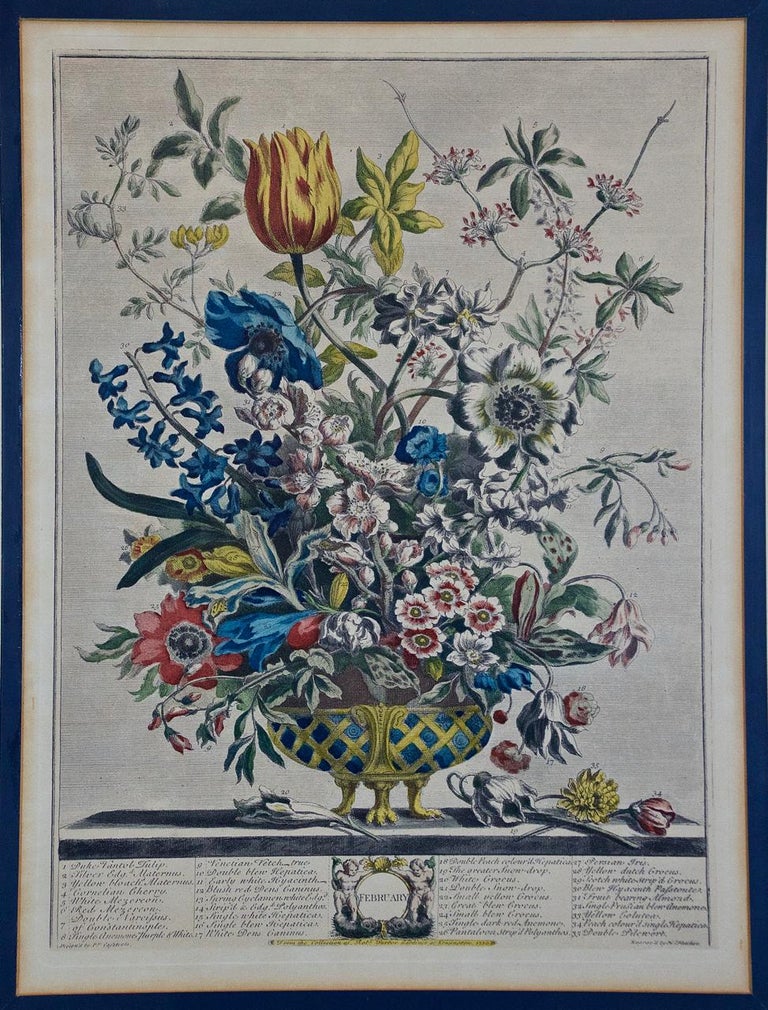 Robert Furber - "February Bouquet" from 'The Twelve Months of Flowers ...