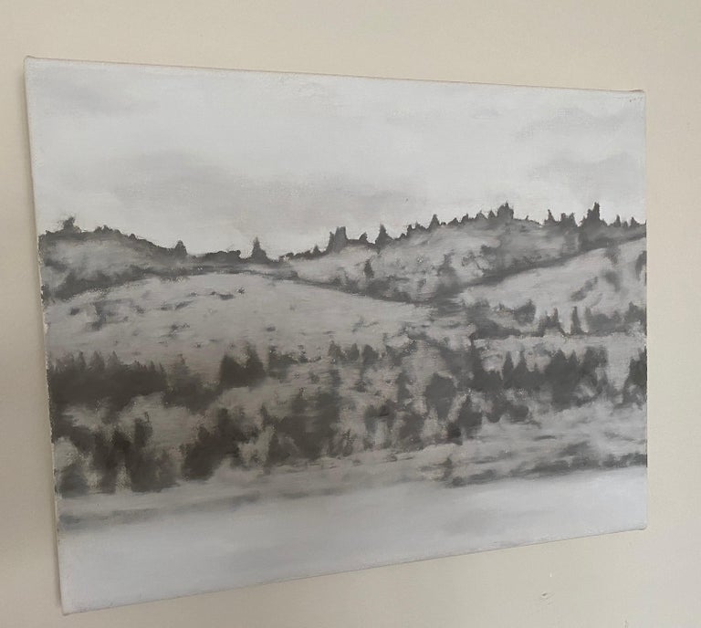 James Buckhouse - Untitled (Oregon Landscape) For Sale at 1stDibs