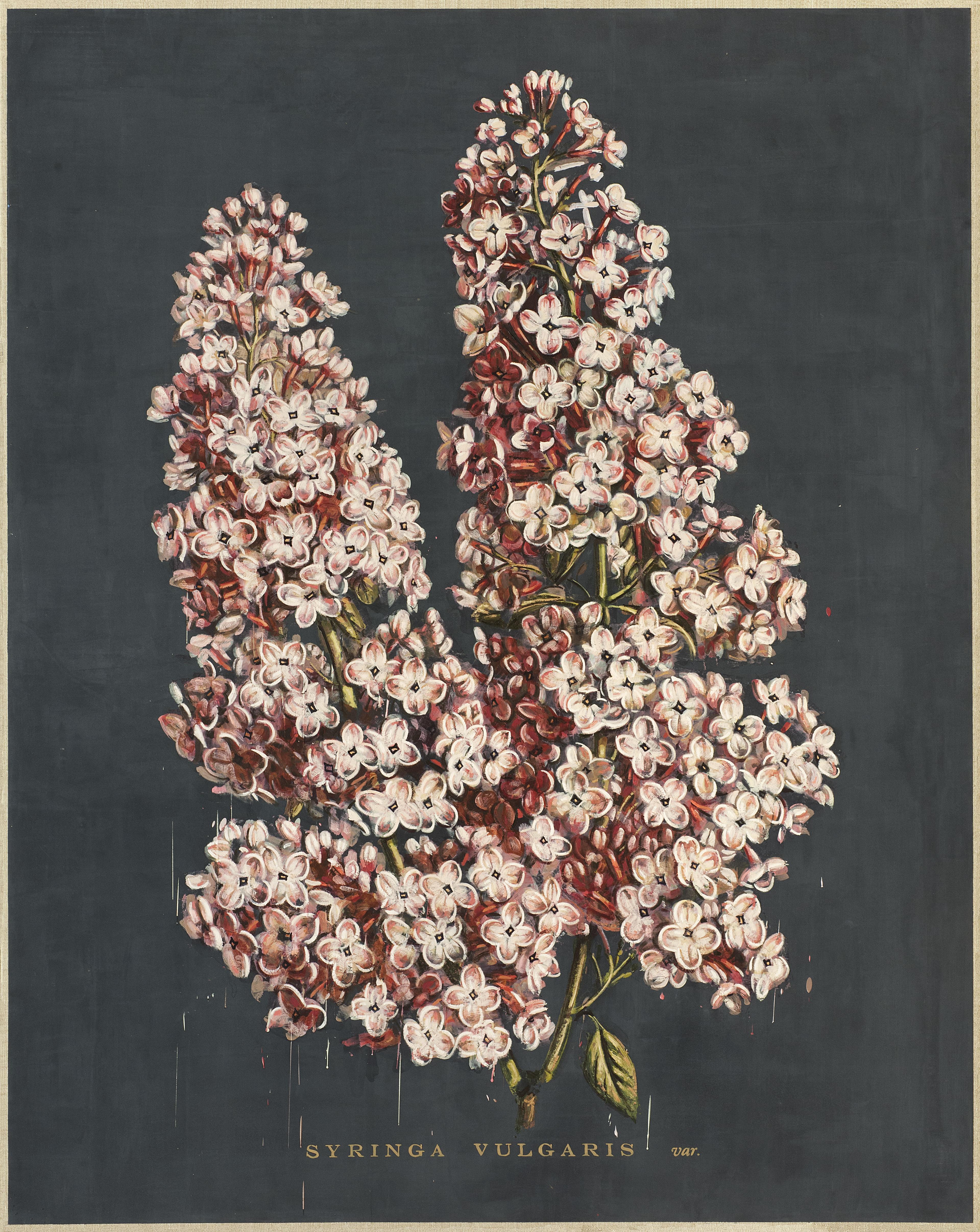 David Ligare Paintings - 18 For Sale at 1stDibs | david buligare, david ...