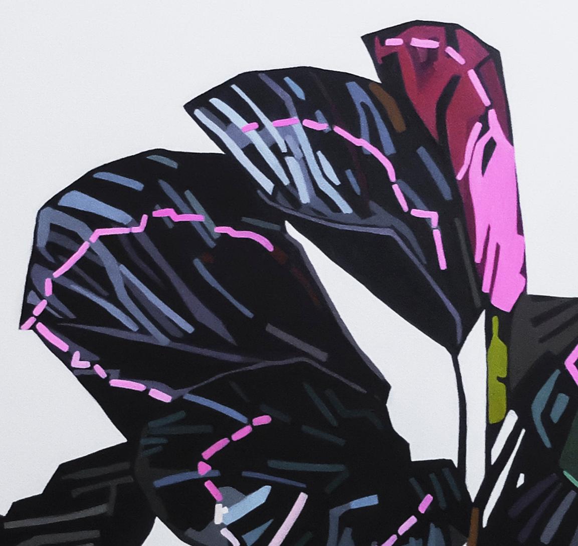 Donald Maclean - Calathea- Roseopicta - Contemporary Still Life ...