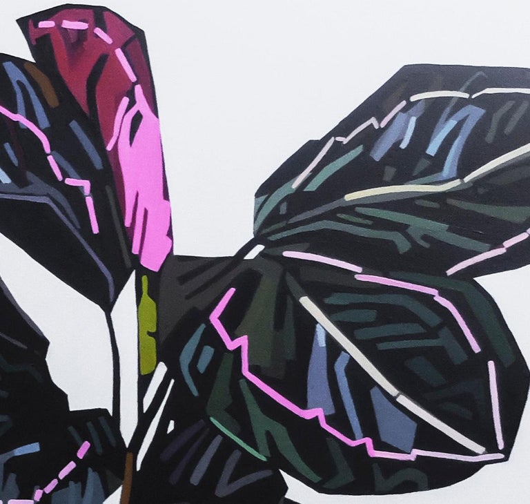 Donald Maclean - Calathea- Roseopicta - Contemporary Still Life ...