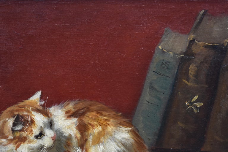 Maurice Jabbier - Two cats with book and insects For Sale at 1stDibs