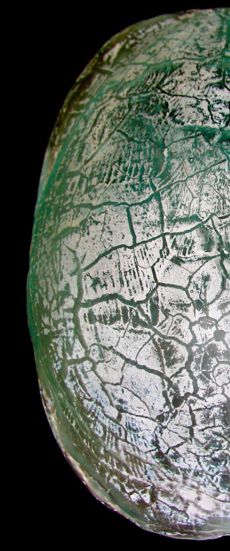 Brian Gustafson - "Glass Turtle" For Sale at 1stDibs