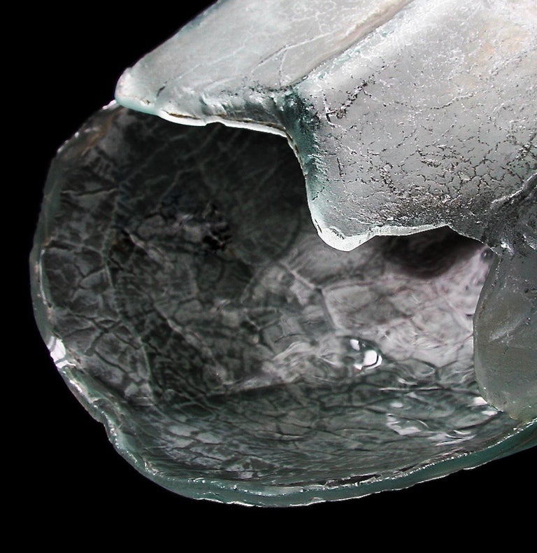 Brian Gustafson - "Glass Turtle" For Sale at 1stDibs