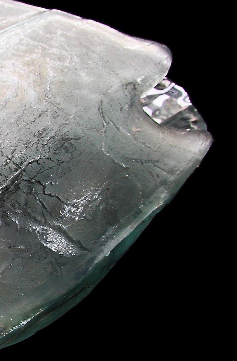 Brian Gustafson - "Glass Turtle" For Sale at 1stDibs