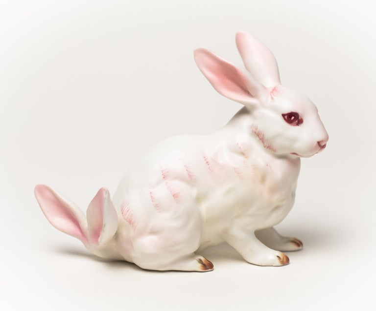 Debra Broz - White Rabbit, No. 17 For Sale at 1stDibs