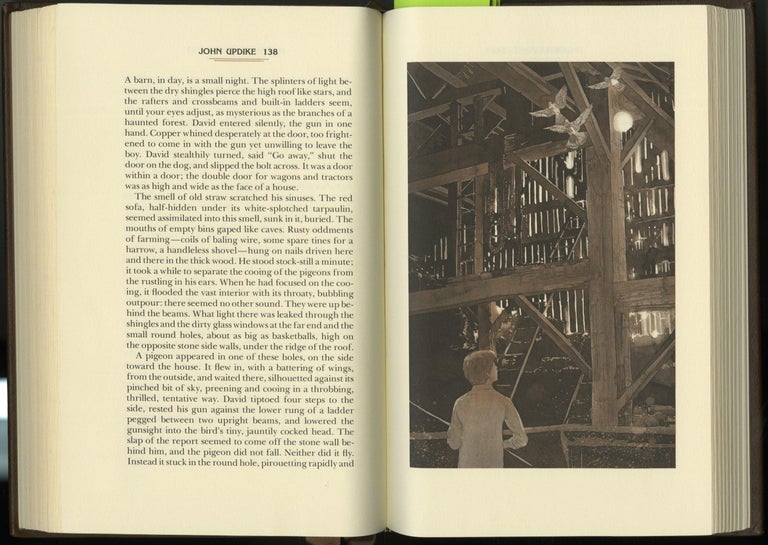 Bob Dacey - Pigeon Feathers at 1stDibs