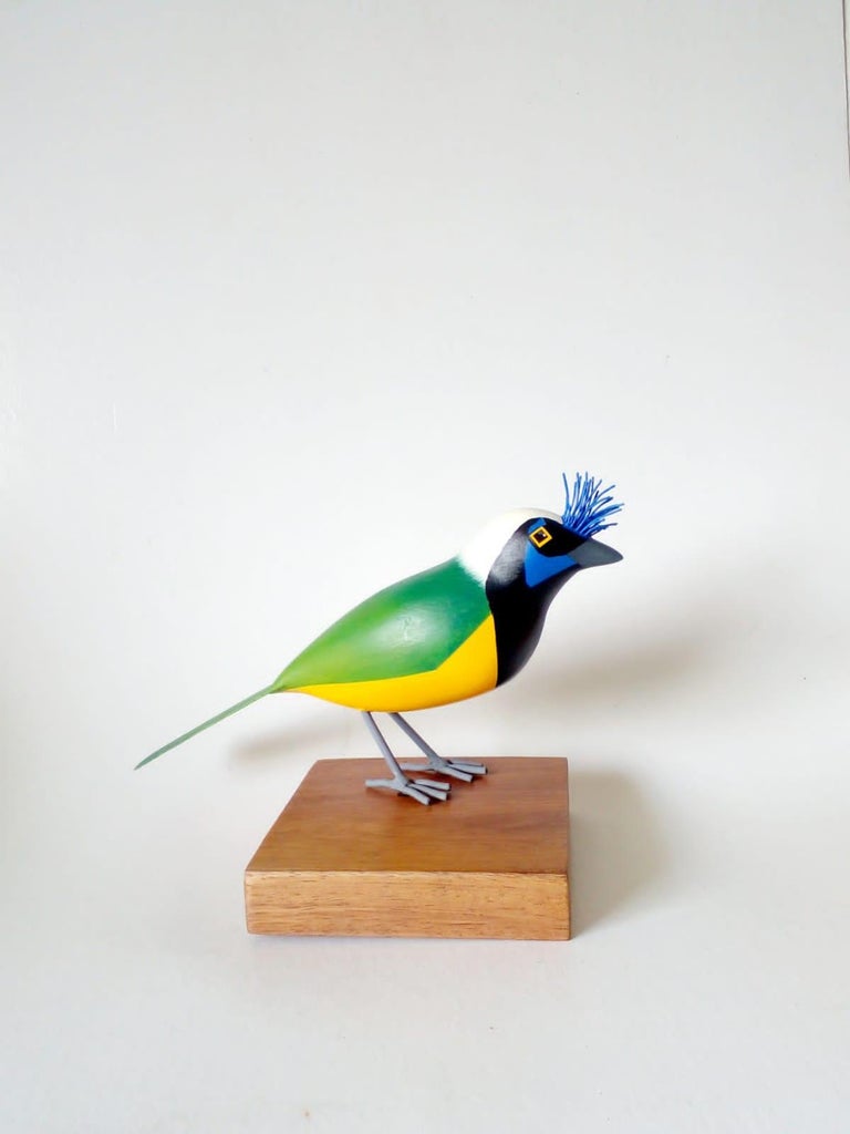 Davit Nava - Turqouise Jay, Contemporary Art, Sustainable Art ...