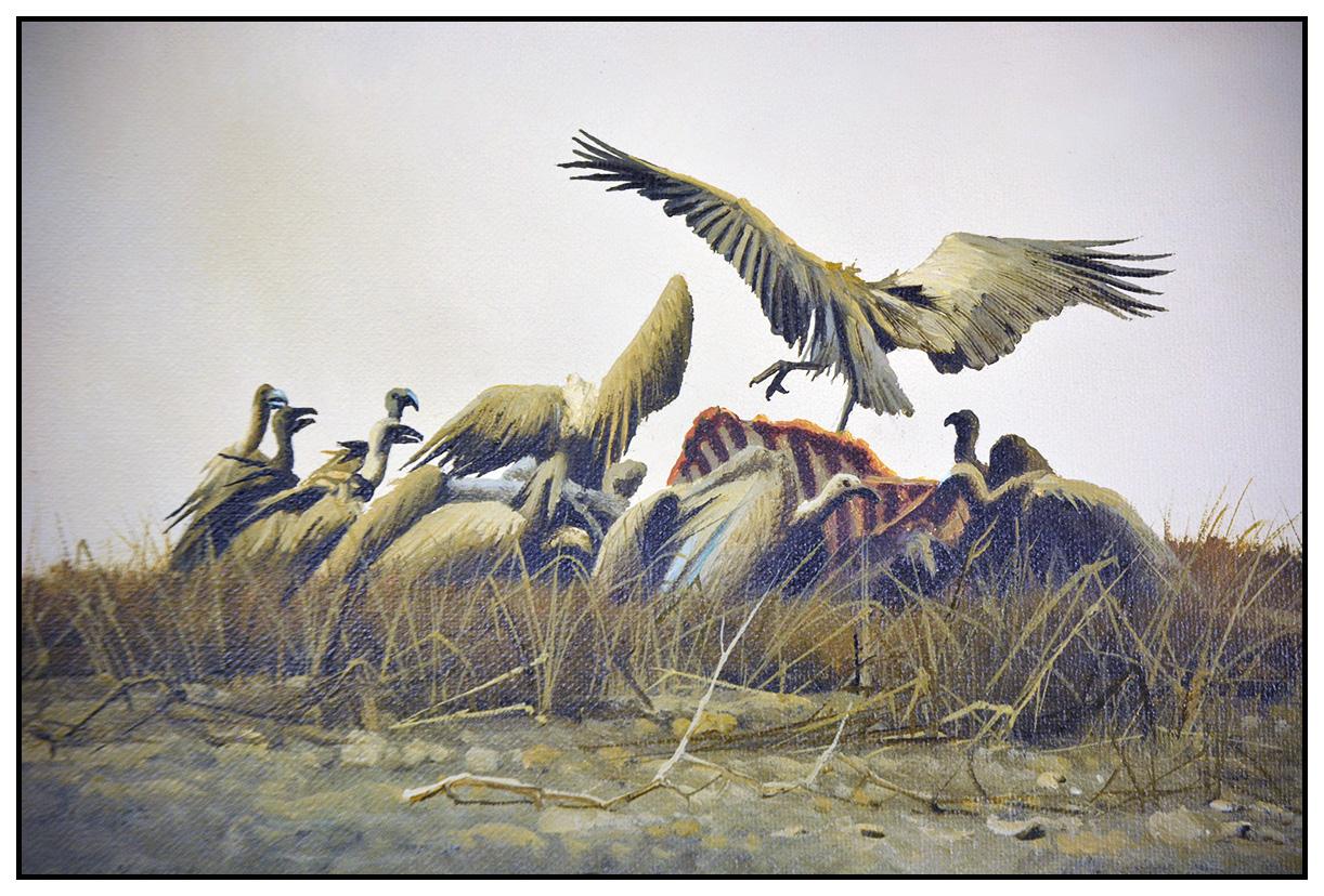 Craig Bone - Craig Bone Original Wildlife Painting Oil On Canvas Signed ...