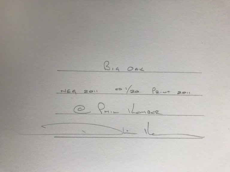 Phil Kember - Big Oak California, Horse and Cowboy, Sepia Toned Silver ...