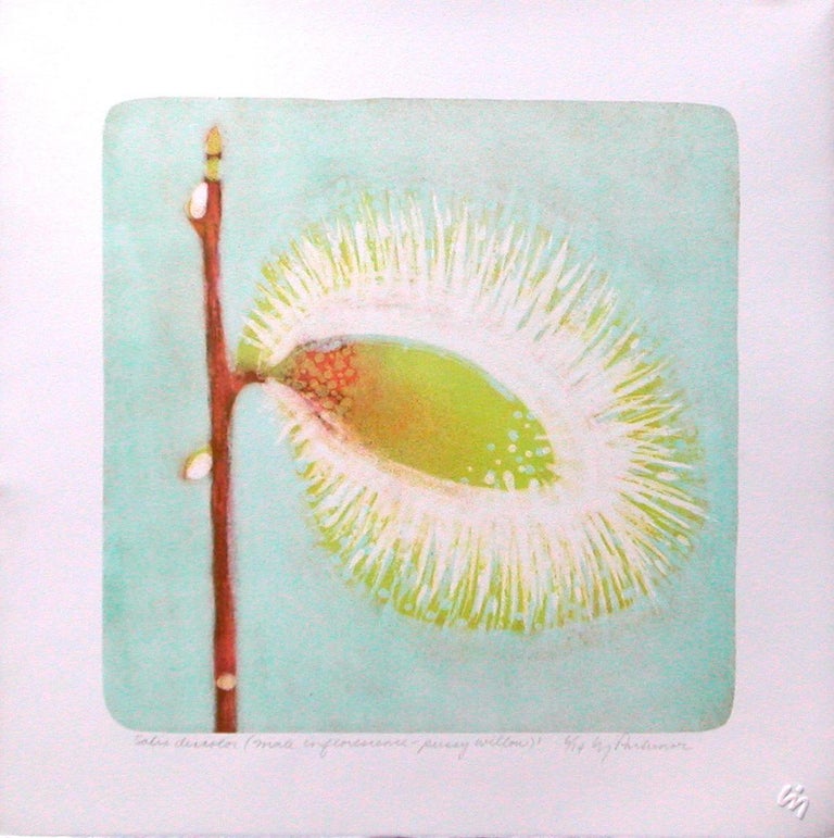 Liz Parkinson - Salix Discolor (Late Winter Pussy Willow) # 1 stone ...