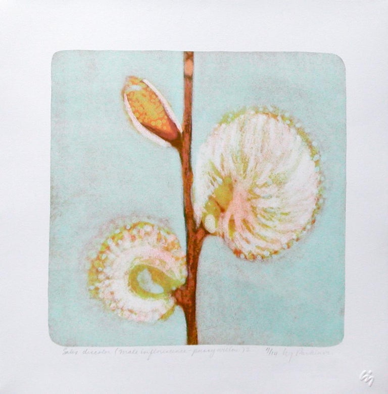 Liz Parkinson - Salix Discolor (Late Winter Pussy Willow) 2 stone litho ...