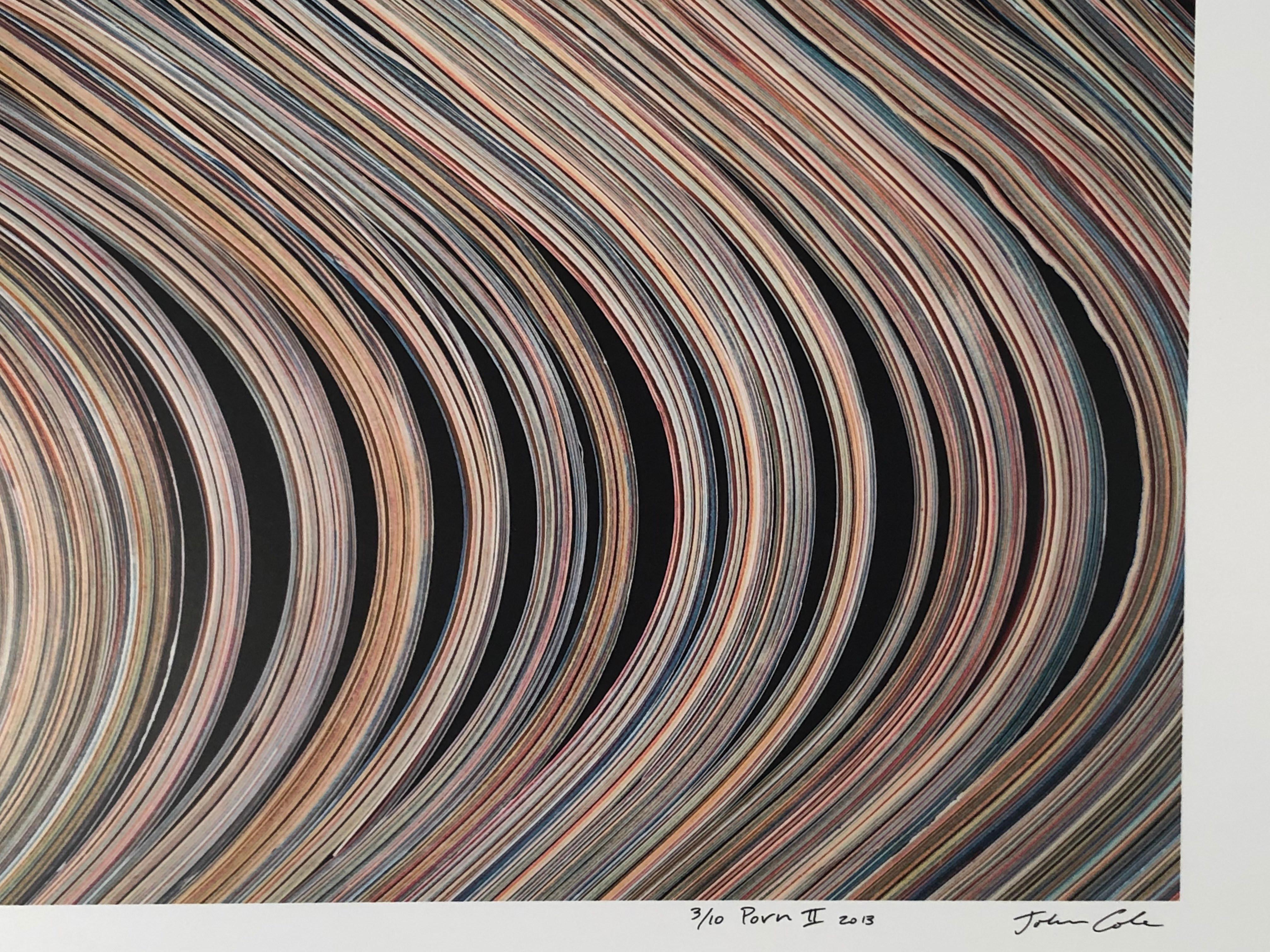 Martin Klimas - Martin Klimas, Red Rose, Exploding Flower, Photograph ...