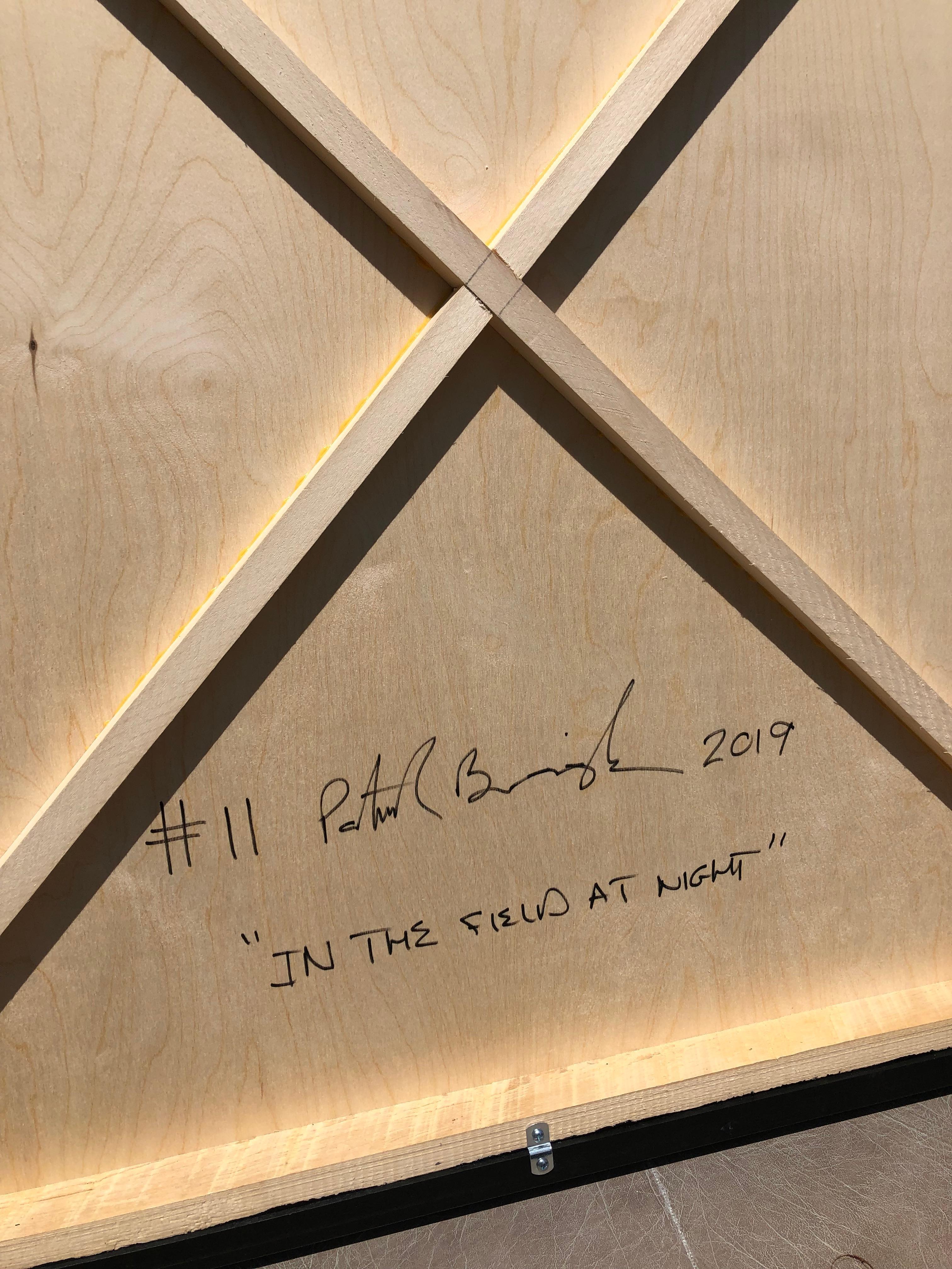 Patrick Bermingham - "In the Field at Night" Green sky painted at night ...