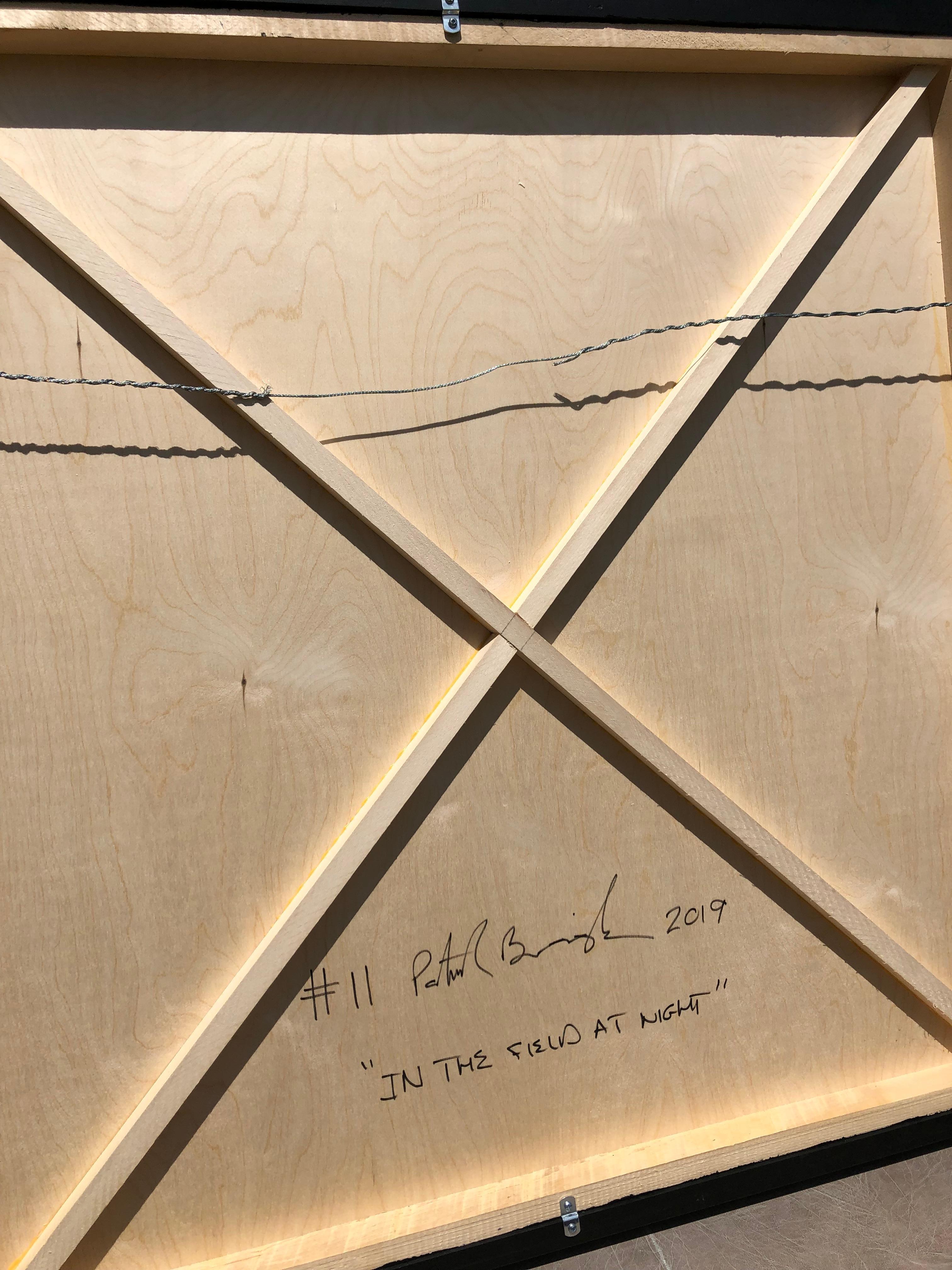 Patrick Bermingham - "In the Field at Night" Green sky painted at night ...