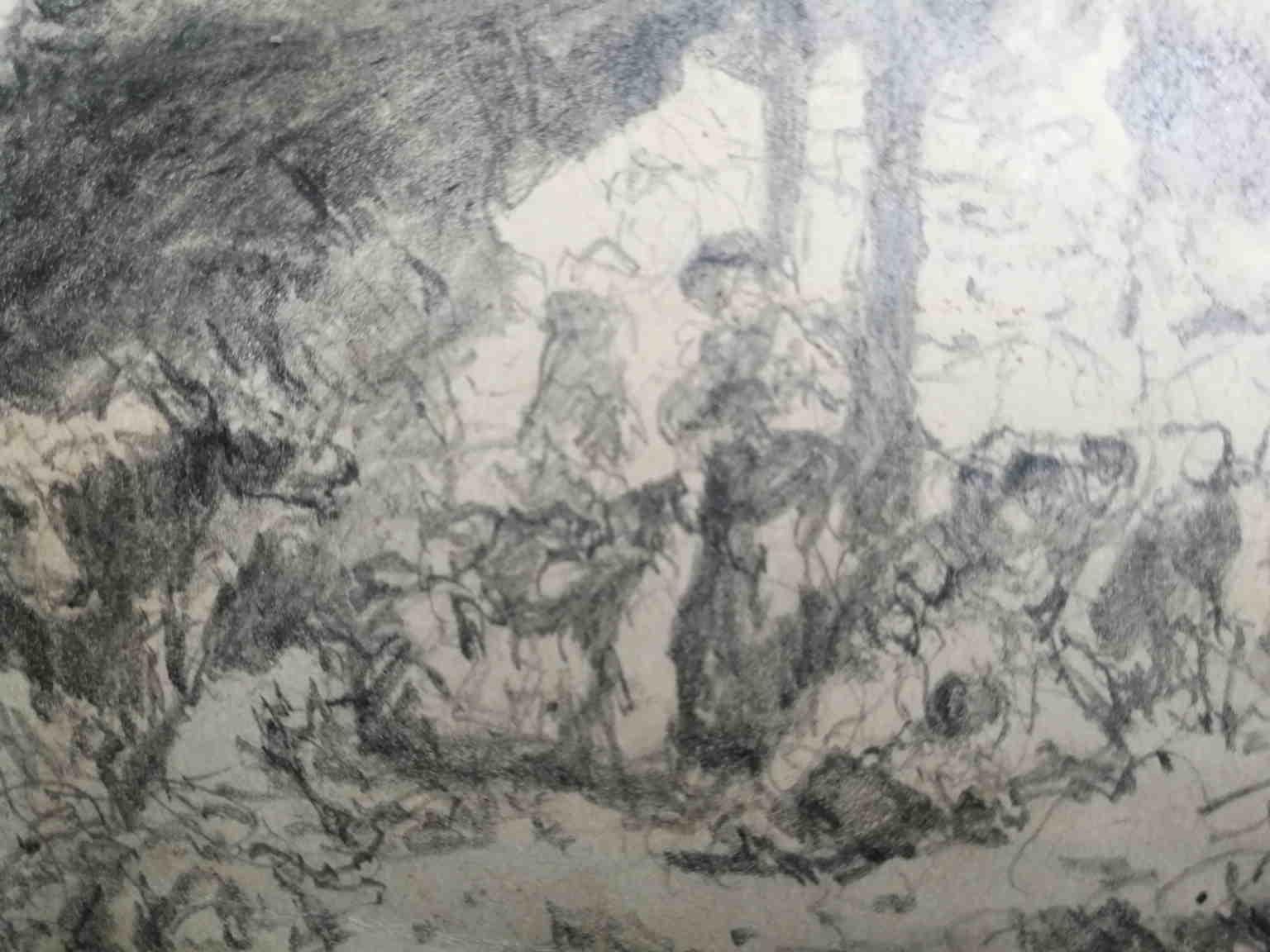 Sue Bryan - Cold Light, Winter Trees (Dark Charcoal Landscape Drawing ...