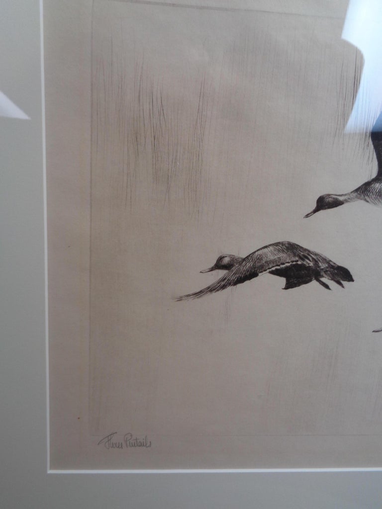 Richard E. Bishop - Three Pintails at 1stDibs